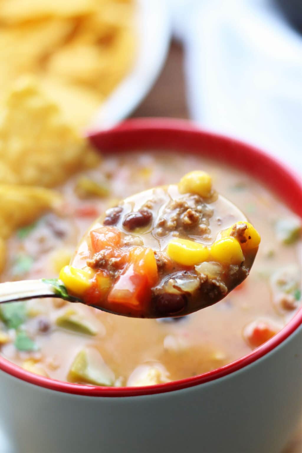 Instant Pot Nacho Soup - 365 Days of Slow Cooking and Pressure Cooking
