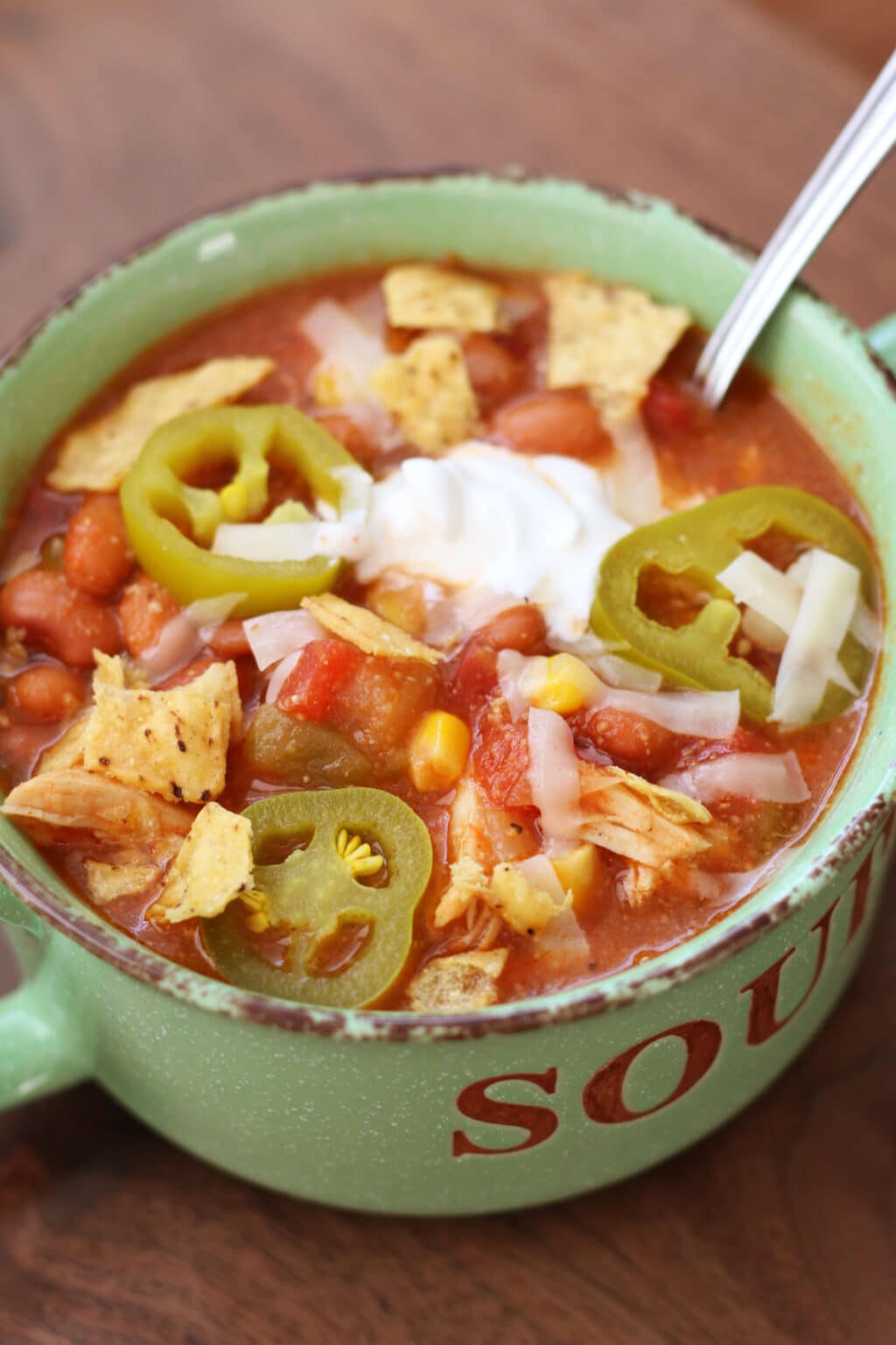 No Cap Soup - 365 Days of Slow Cooking and Pressure Cooking
