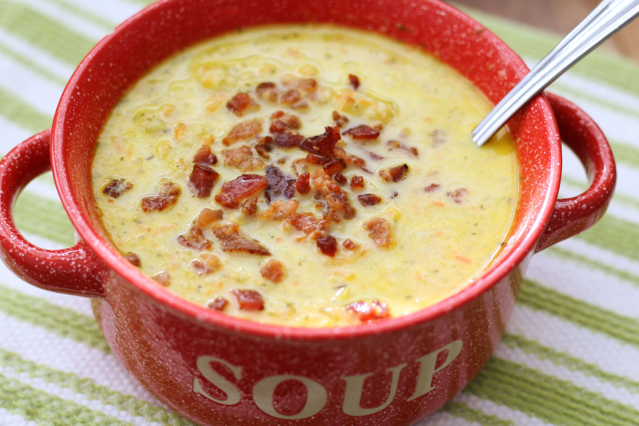 Sneaky Mom Soup - 365 Days of Slow Cooking and Pressure Cooking