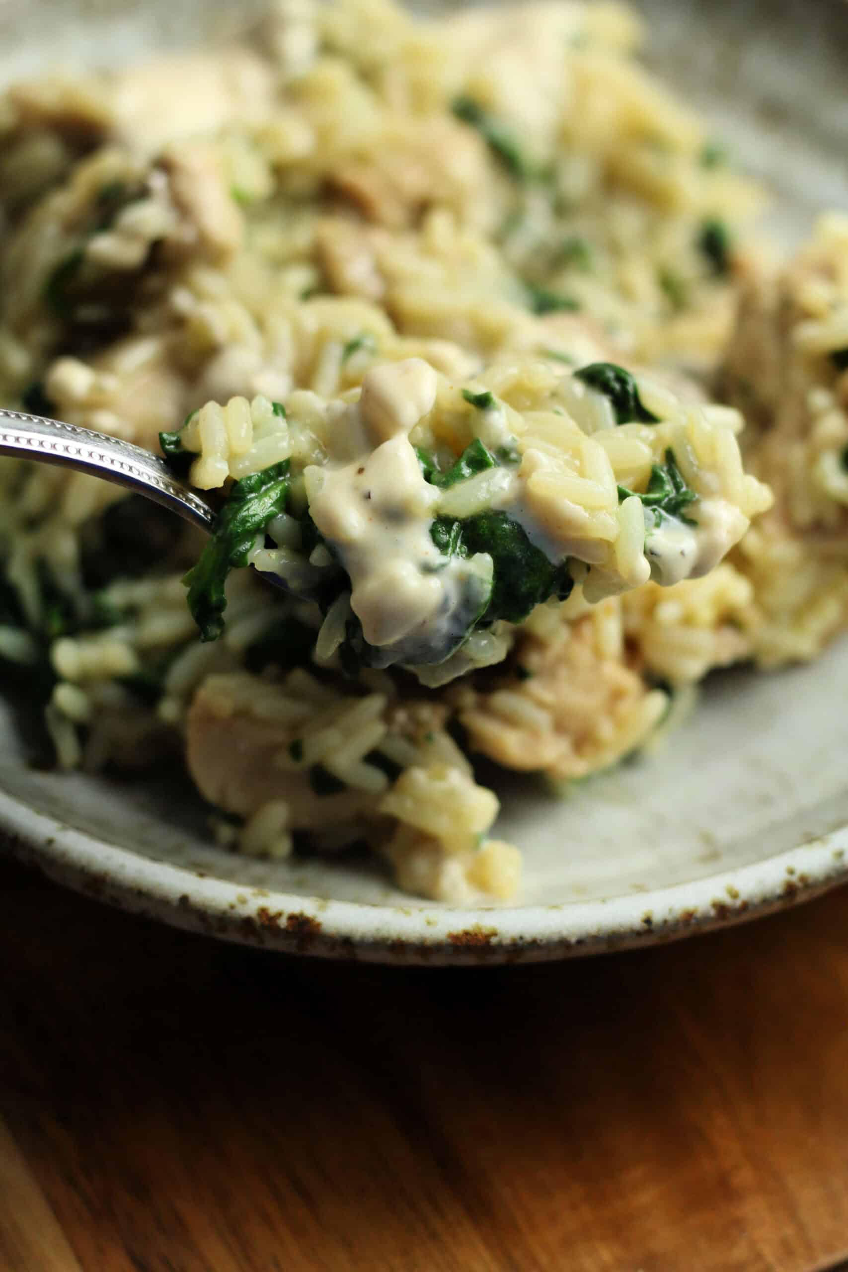 Alabama Casserole - 365 Days of Slow Cooking and Pressure Cooking
