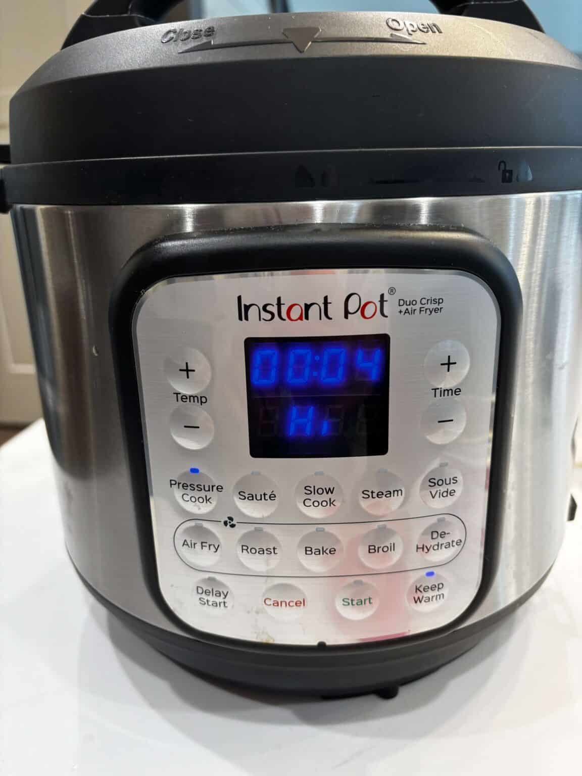 Death Chicken - 365 Days of Slow Cooking and Pressure Cooking