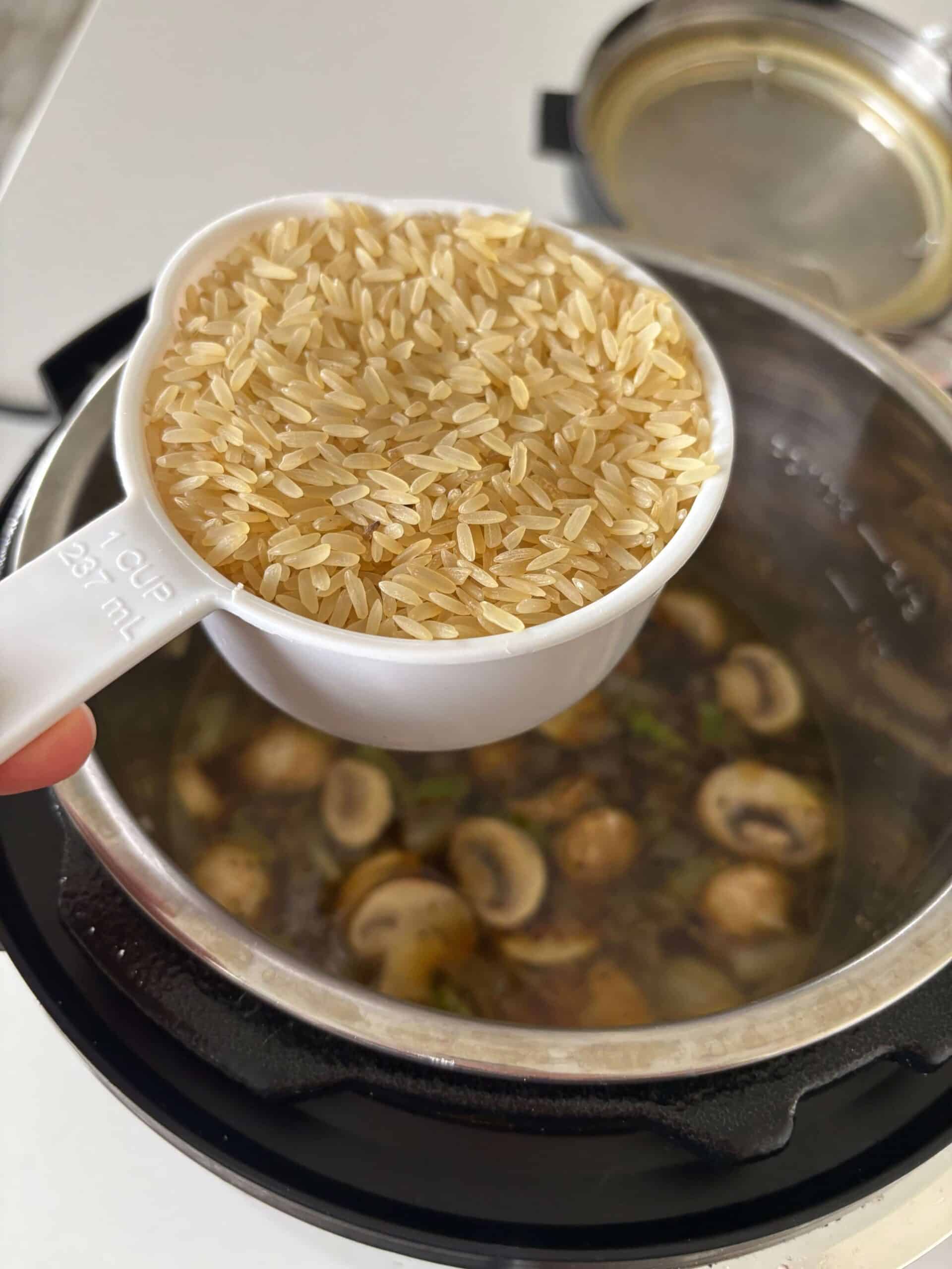 Delta Casserole - 365 Days of Slow Cooking and Pressure Cooking