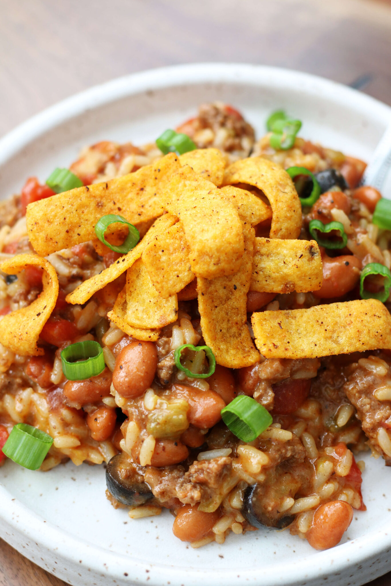 Fantastic Casserole - 365 Days of Slow Cooking and Pressure Cooking