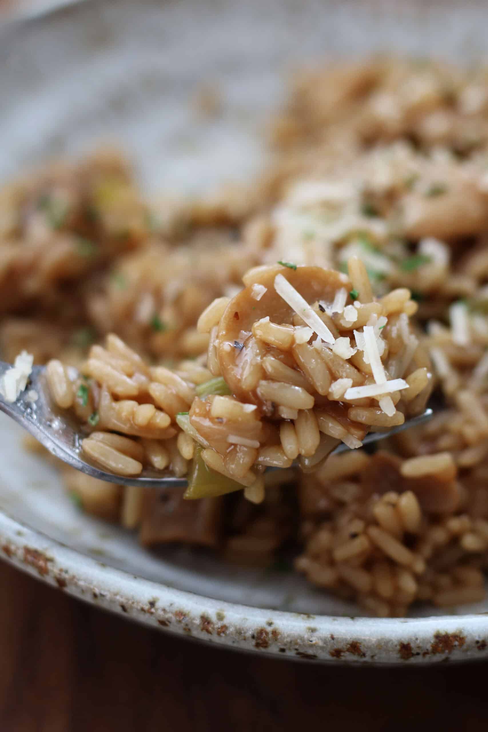 Delta Casserole - 365 Days of Slow Cooking and Pressure Cooking