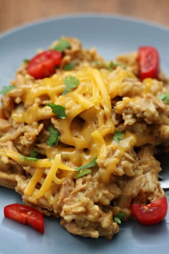 Joy's Casserole - 365 Days of Slow Cooking and Pressure Cooking
