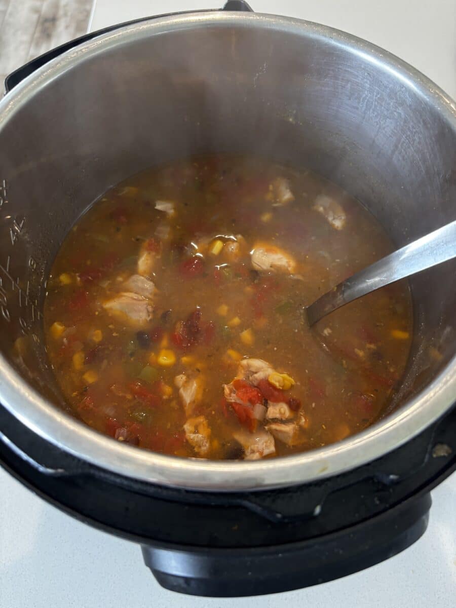 Shutdown Soup - 365 Days of Slow Cooking and Pressure Cooking