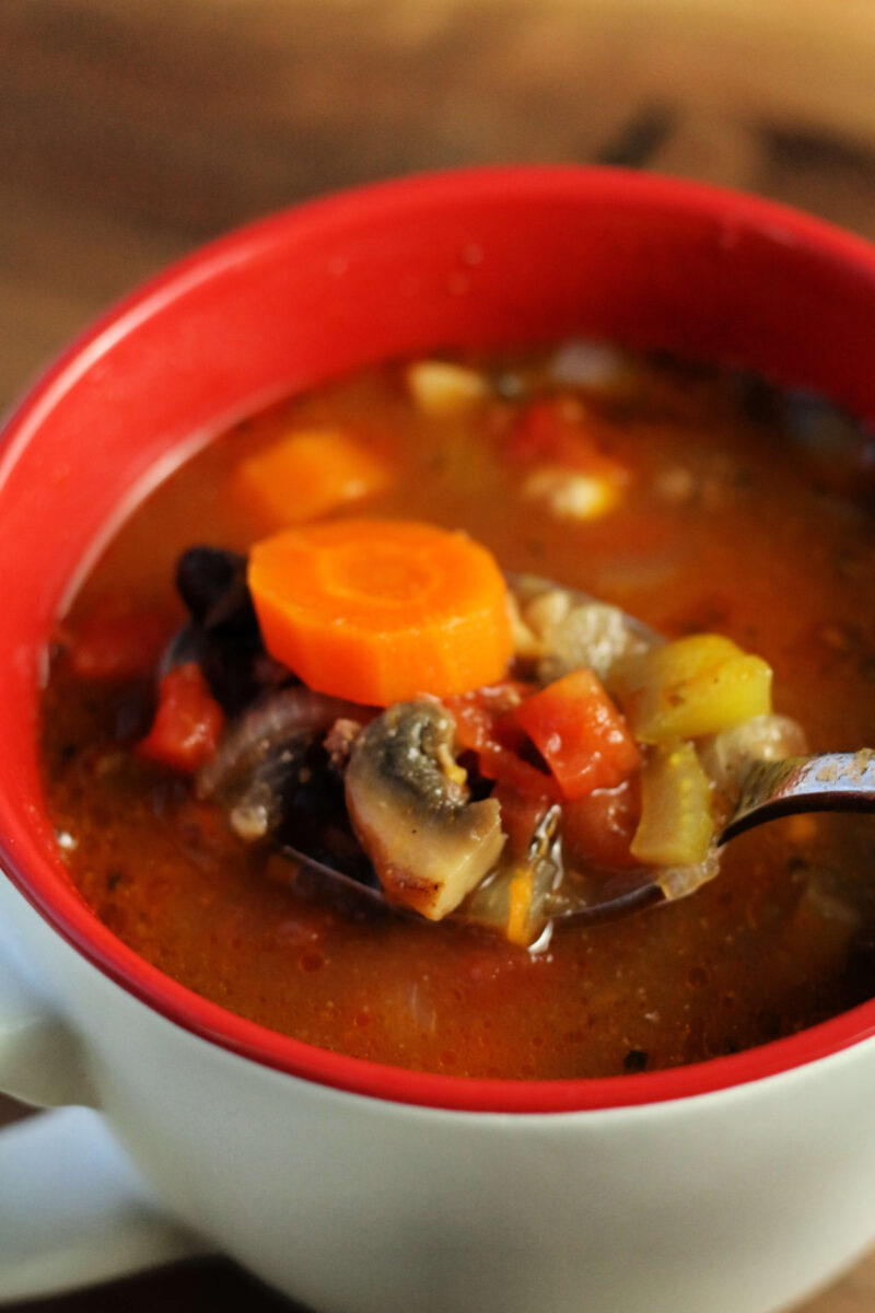 Hocus Pocus Witches Soup - 365 Days of Slow Cooking and Pressure Cooking