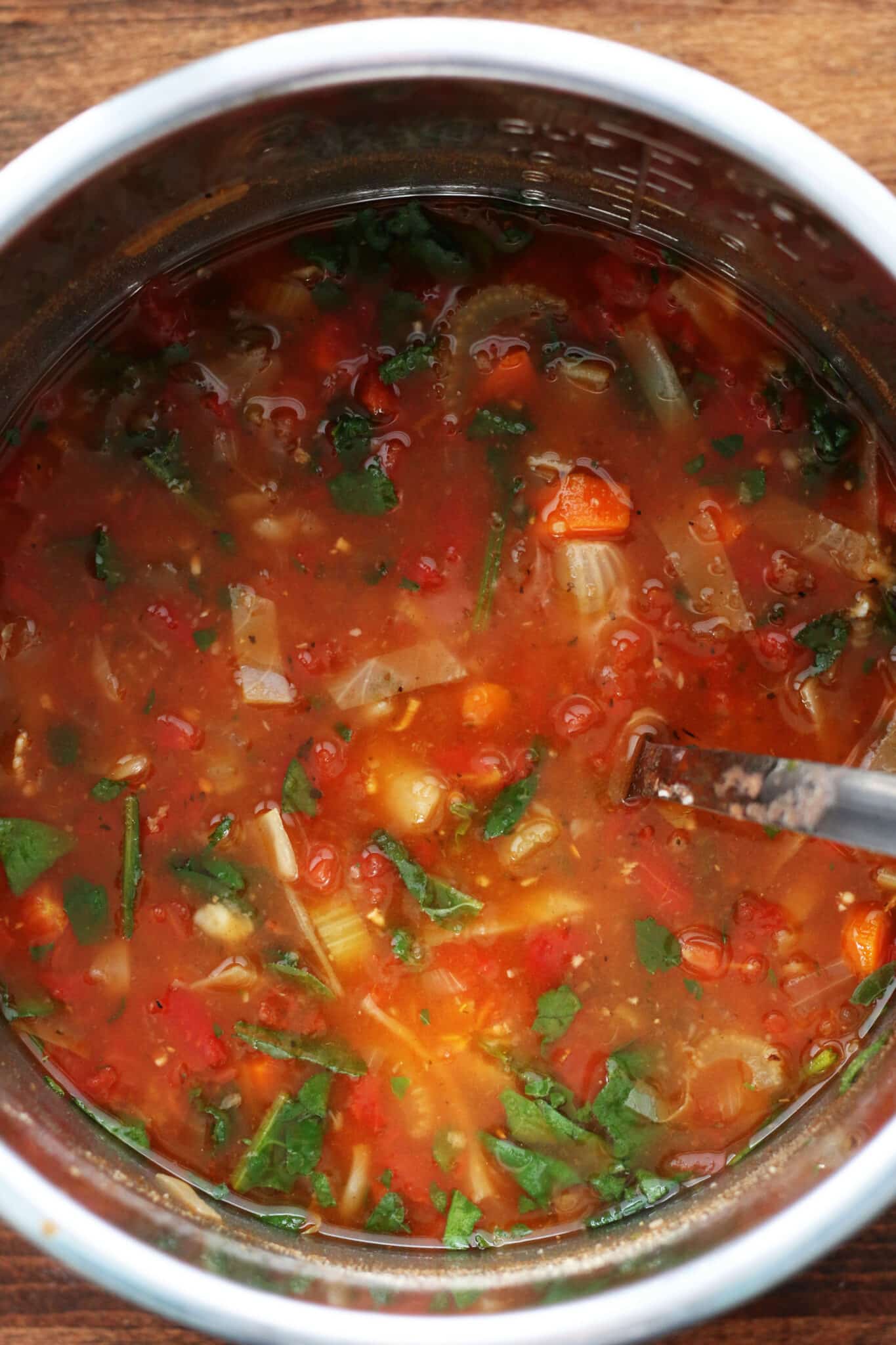 Seriously Good Soup - 365 Days of Slow Cooking and Pressure Cooking