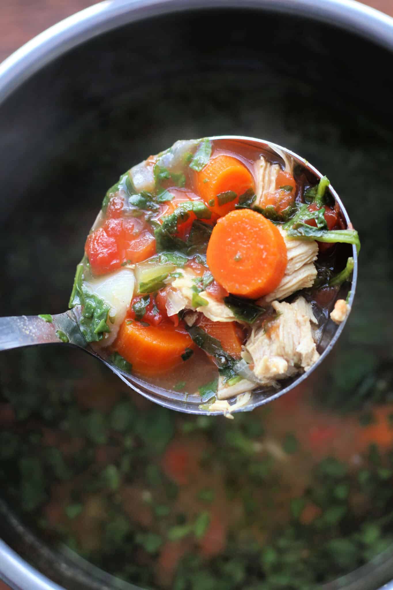 Black Friday Soup - 365 Days of Slow Cooking and Pressure Cooking