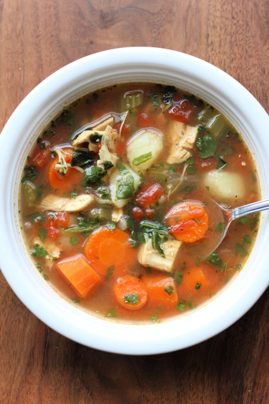 Black Friday Soup - 365 Days of Slow Cooking and Pressure Cooking
