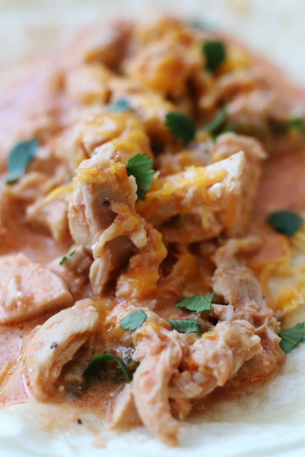 Crockpot Salsa Chicken - 365 Days of Slow Cooking and Pressure Cooking